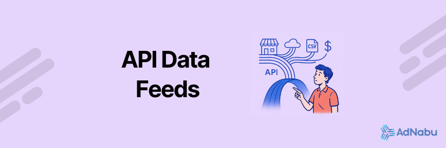 What is an API Data Feed? Data Feed vs API Explained