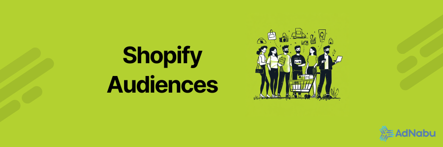 Shopify Audiences: A Detailed Guide